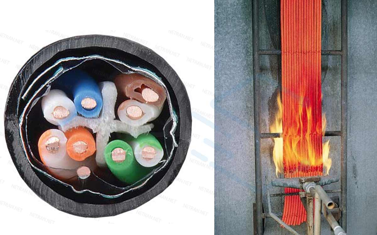 انواع روکش کابل شبکه + تفاوت کابل شبکه PVC و LSZH | نت‌ران